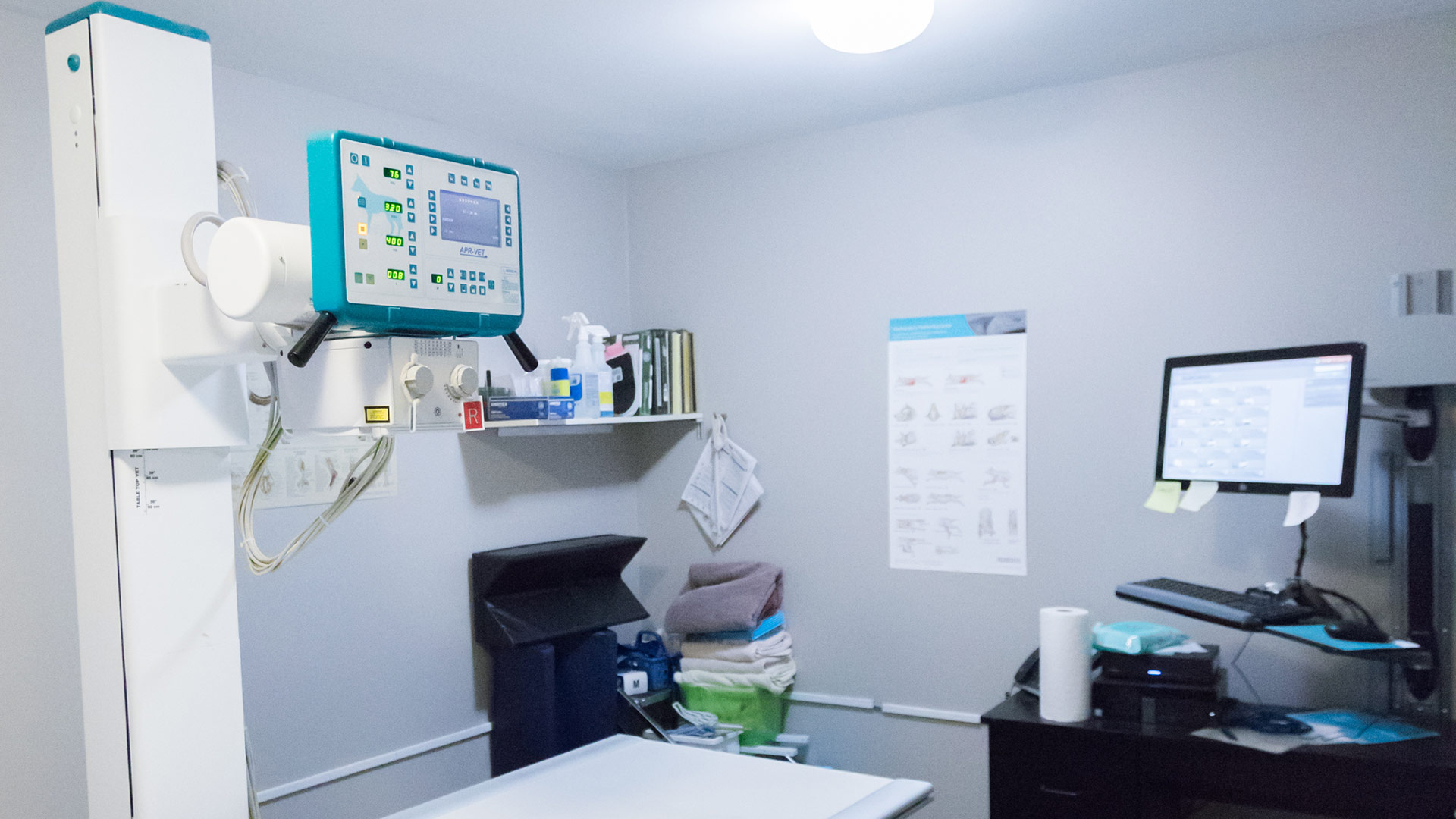 Referring Veterinarians | Animal Emergency Hospital